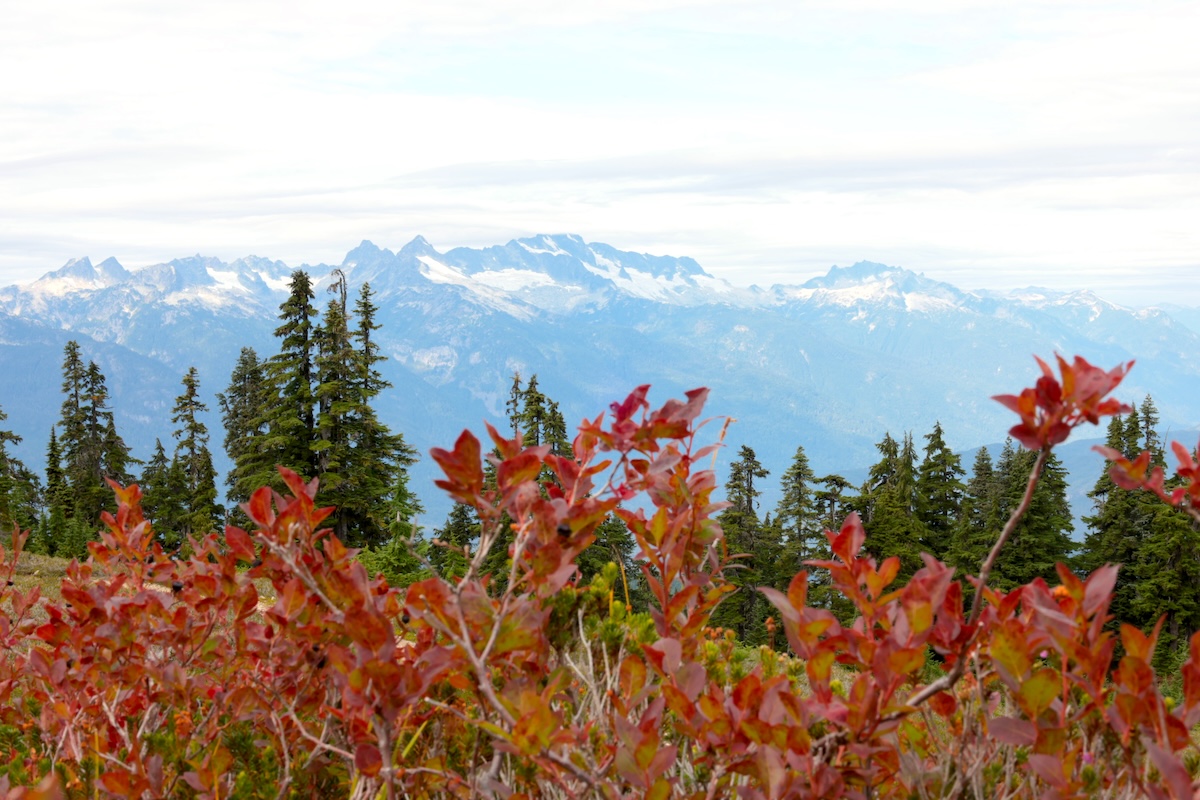 The Most Scenic 11 Fall Hikes Near Vancouver